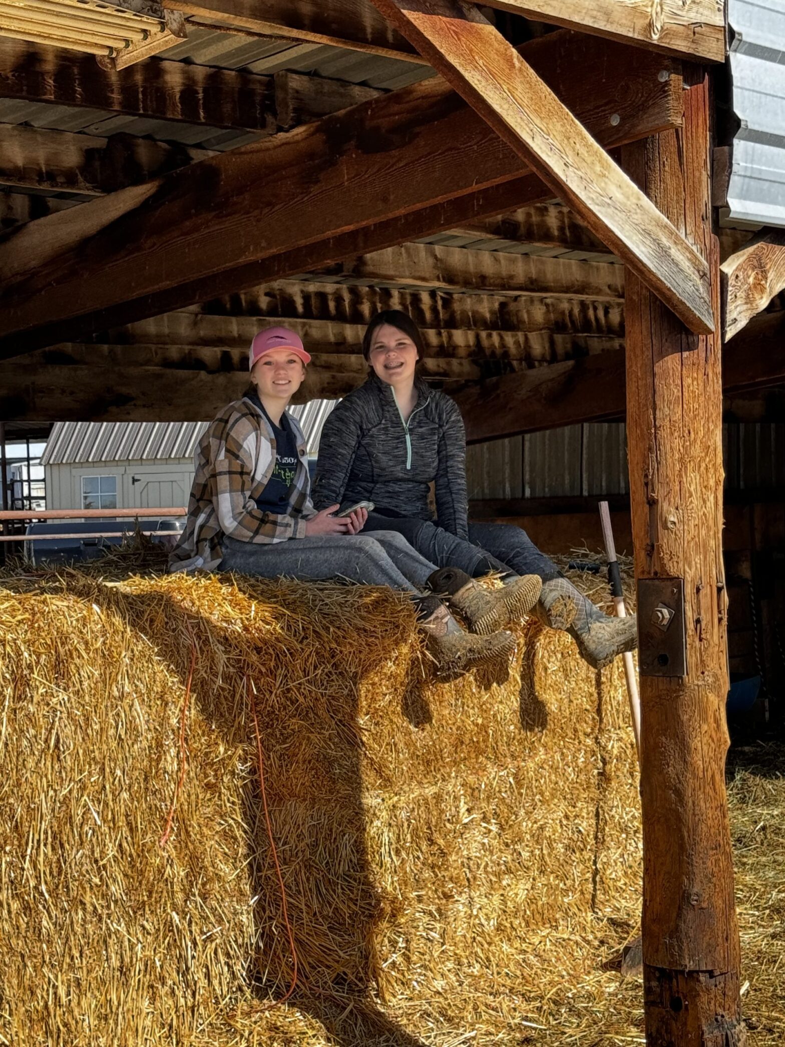 Harris Cattle – Rooted in Premium Heritage Since 1959