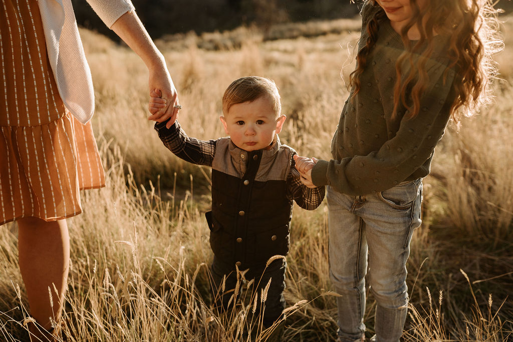 Meet the Family – Harris Cattle