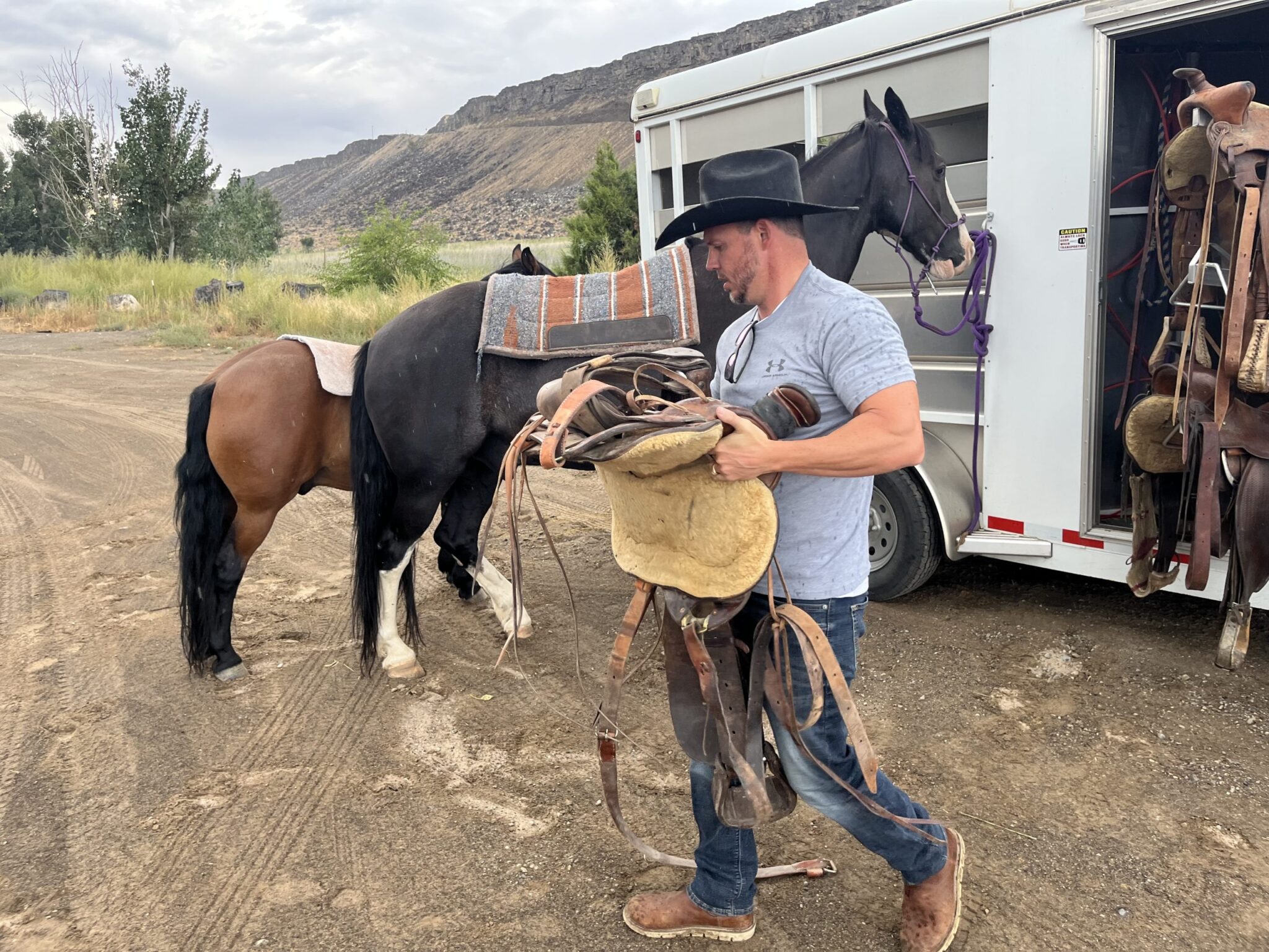 Harris Cattle – Rooted in Premium Heritage Since 1959