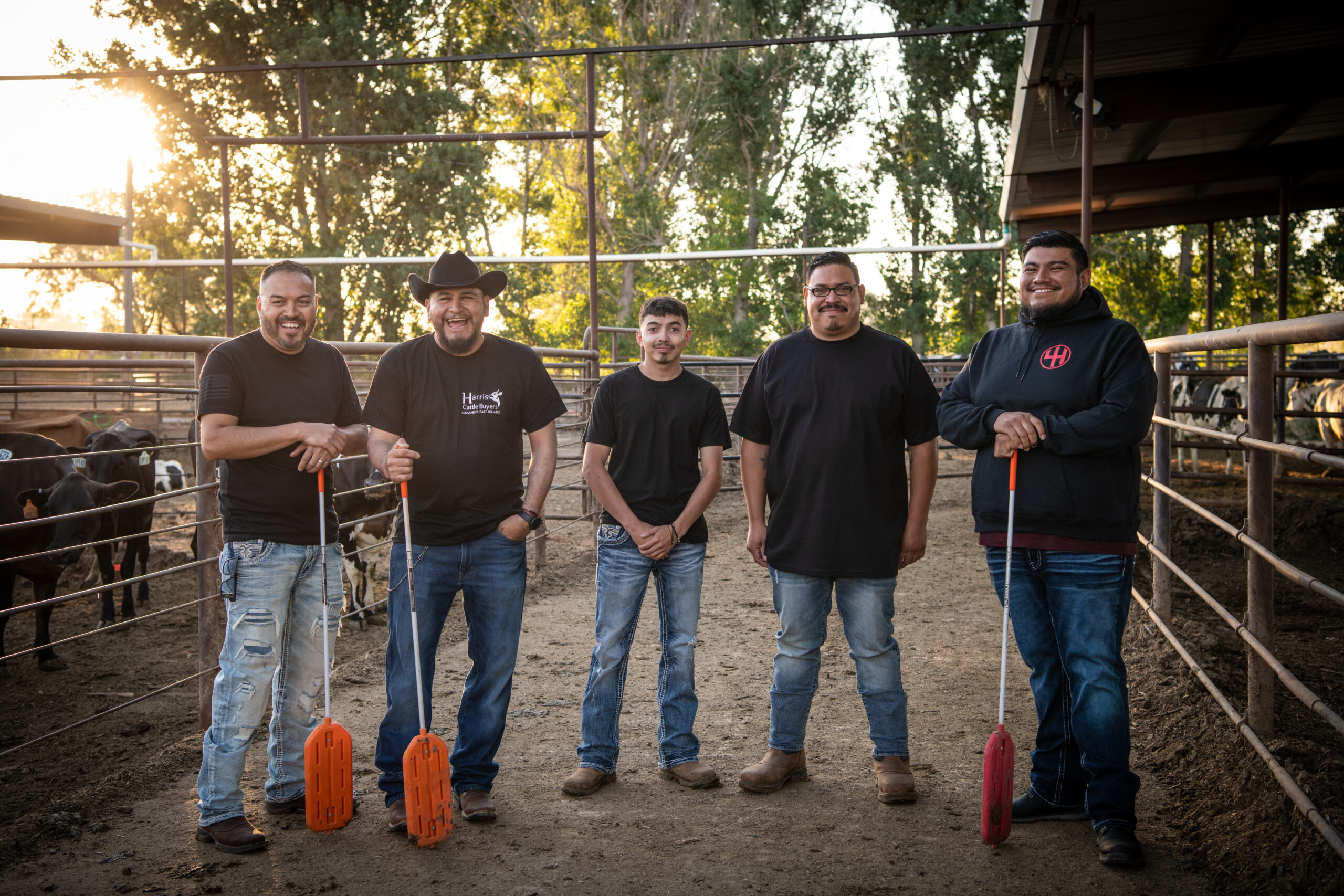 Meet the Family – Harris Cattle